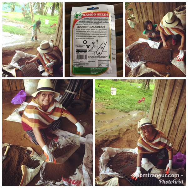 Farm Life in the Philippines – What is It Like? (Part 2) – MomTraNeur