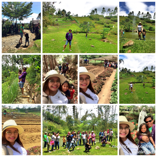 Farm Life in the Philippines – What is It Like? (Part 1) – MomTraNeur